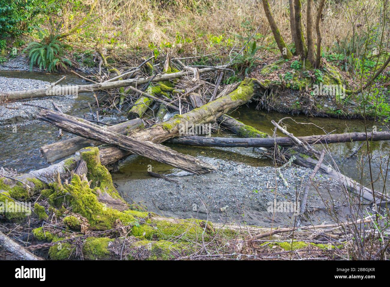 Log jam hi-res stock photography and images - Alamy