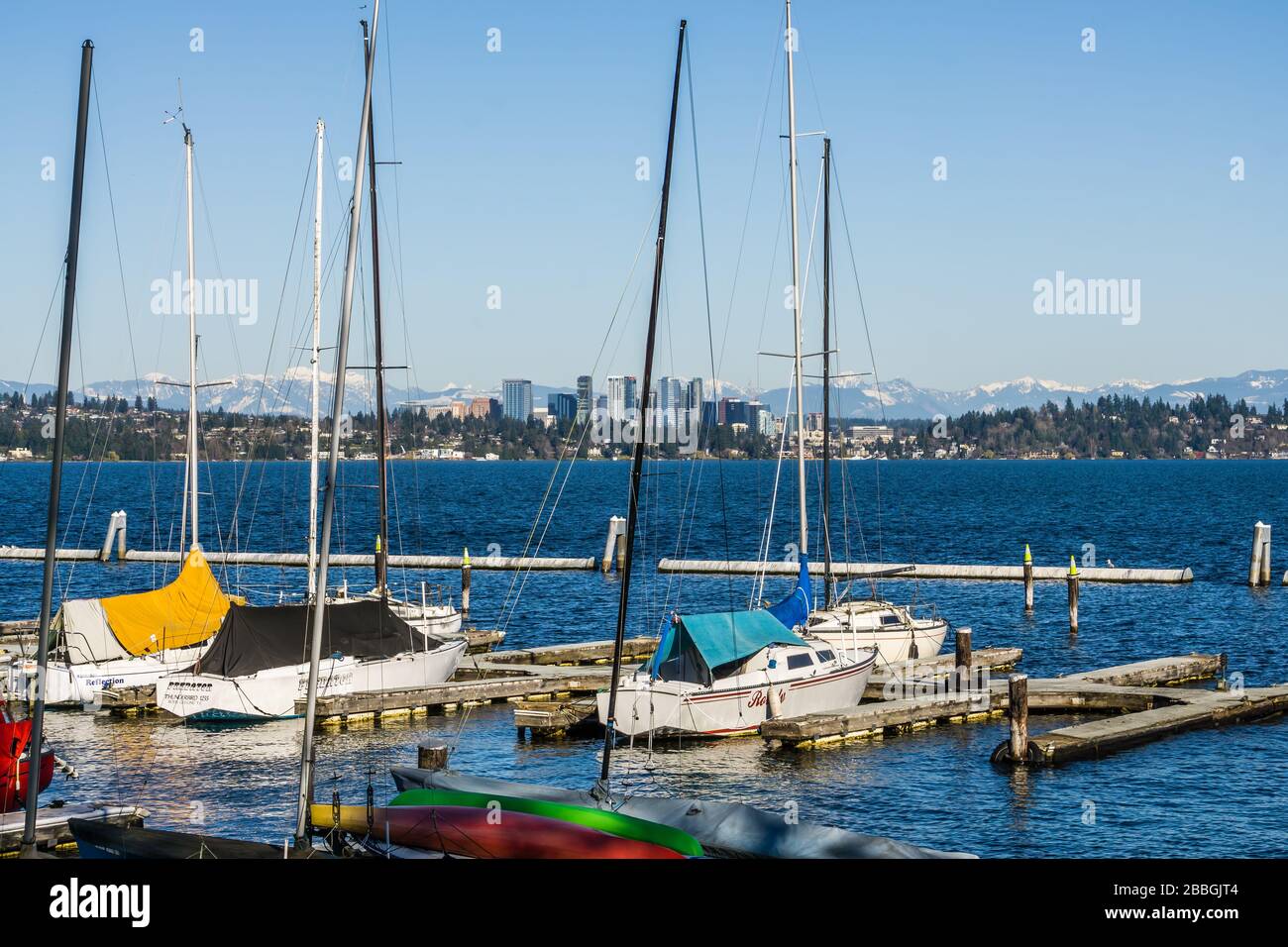 A veiw of the Leschi marina and a view of the Bellevue skyline Stock ...
