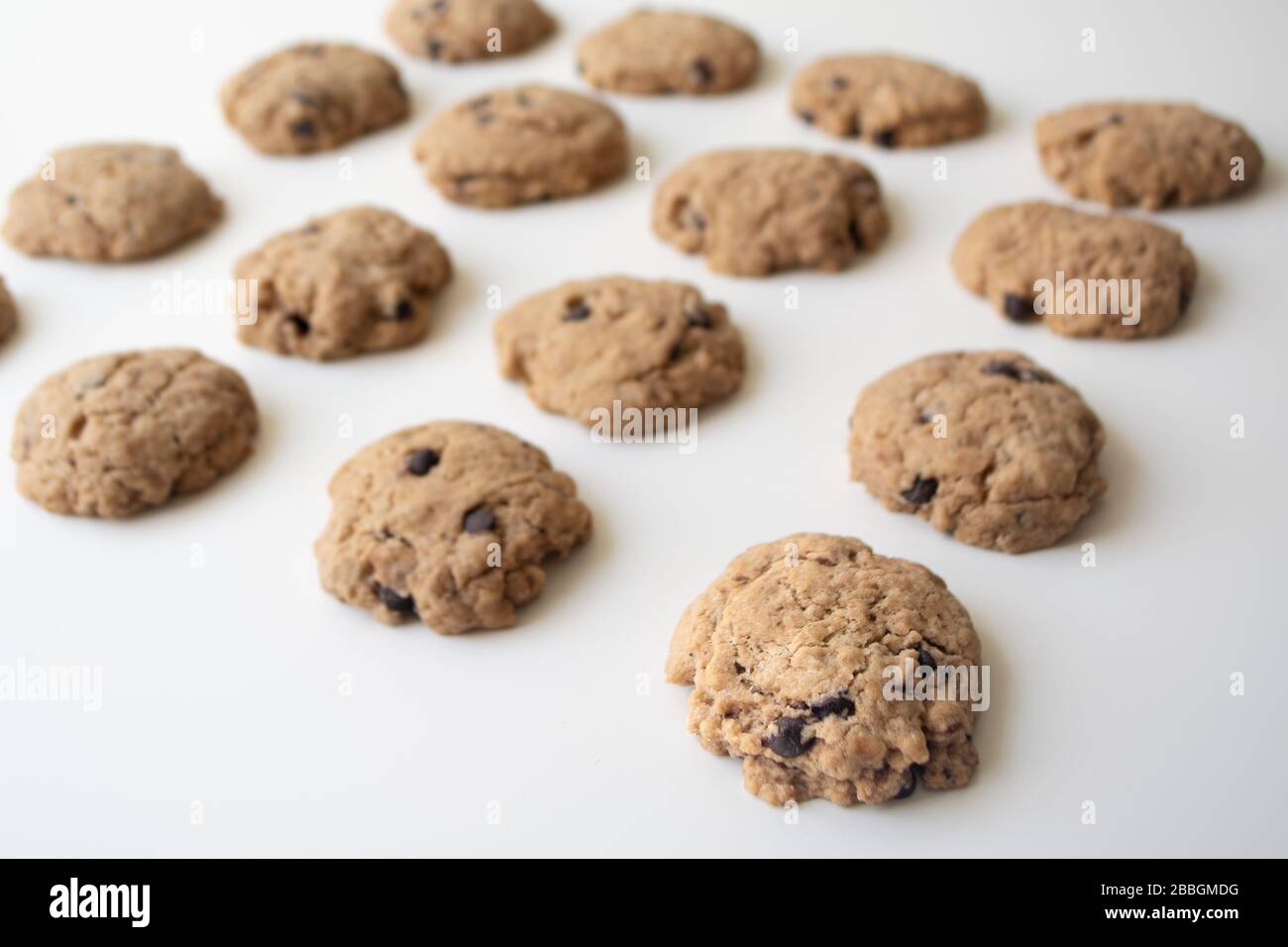 Homemade chocolate cookies in rows on a white background Stock Photo ...