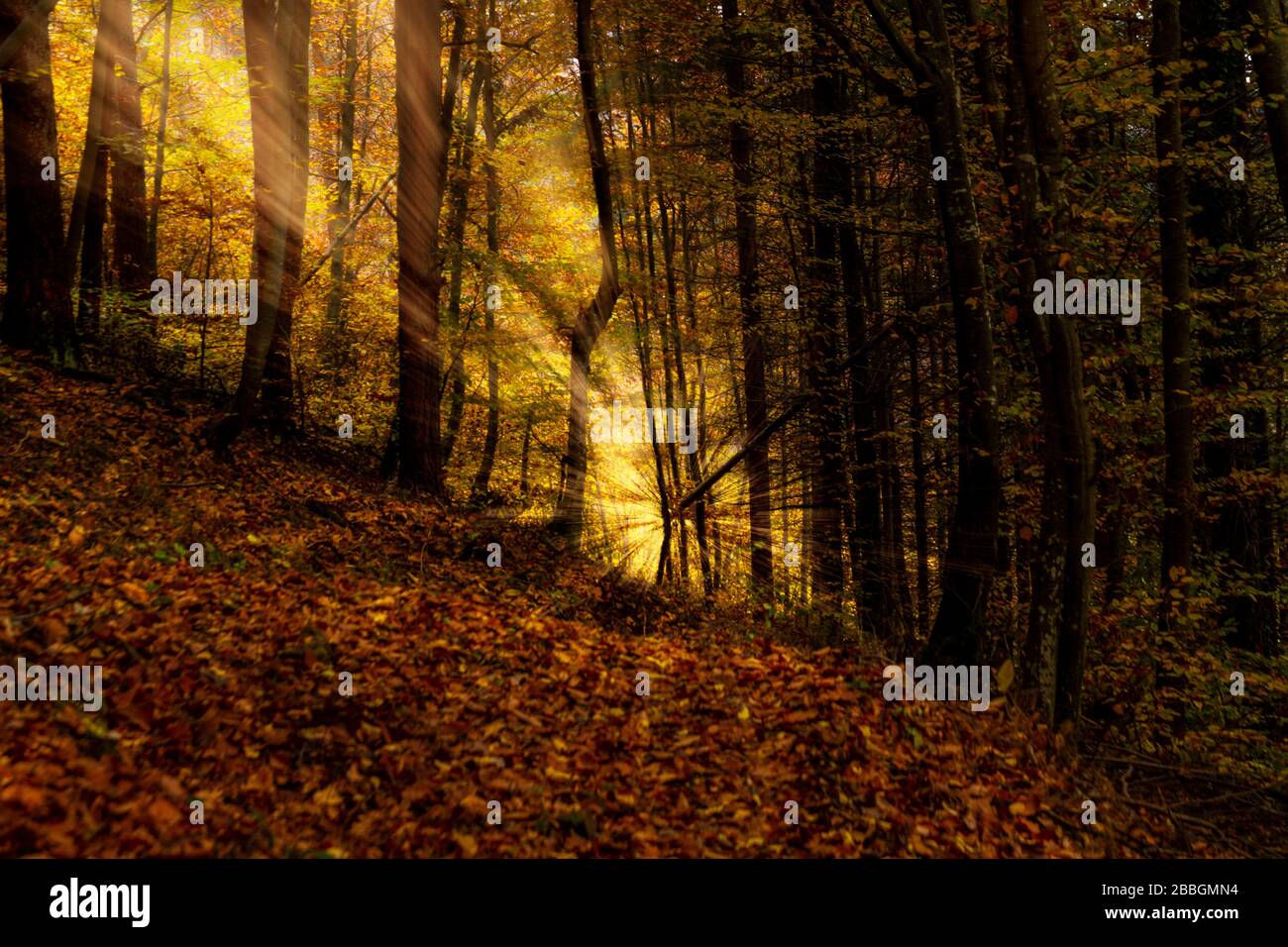 Naturephotography sunrise hi-res stock photography and images - Alamy