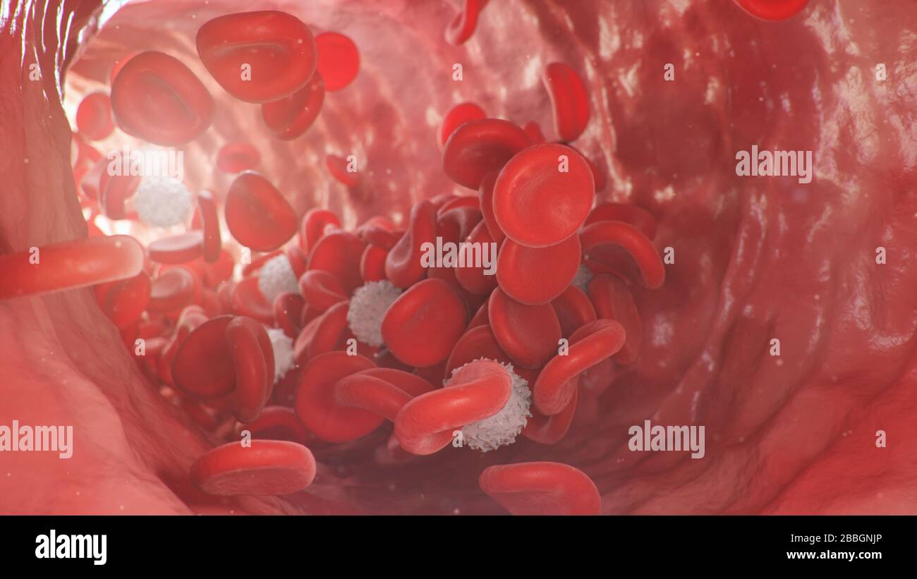 Human red blood cells and platelets hi-res stock photography and images ...