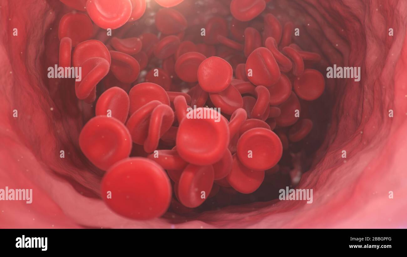 3d illustration of red blood cells inside an artery, vein. The flow of ...