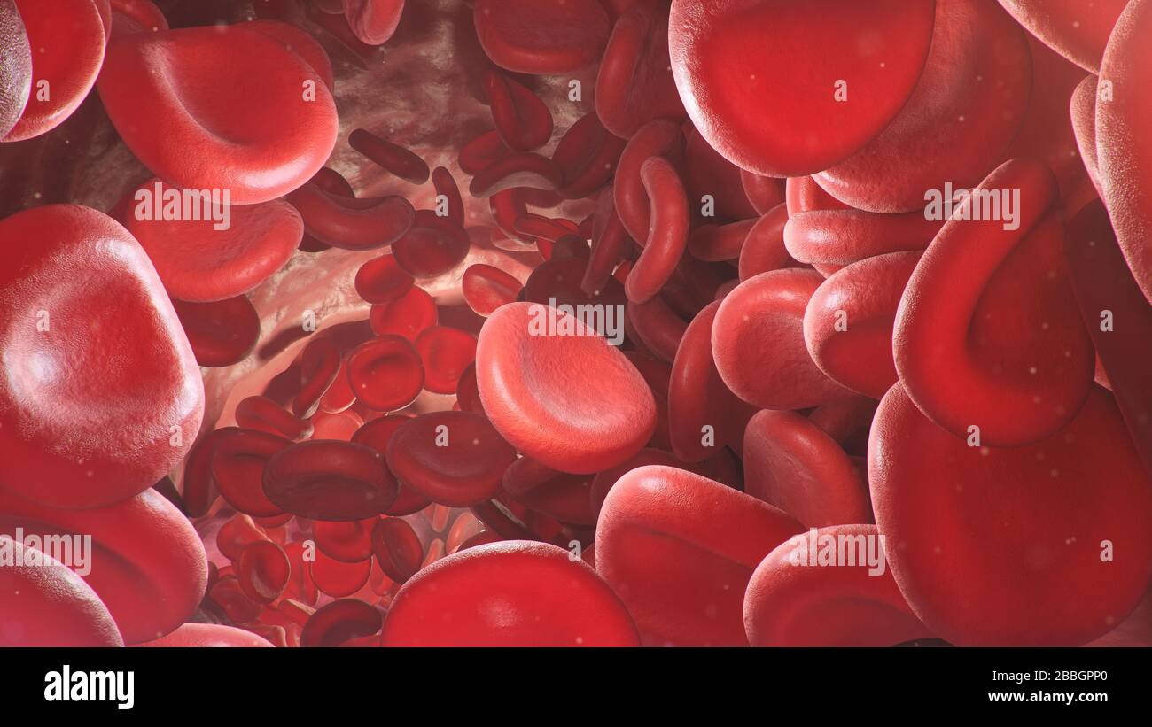 3d illustration of red blood cells inside an artery, vein. The flow of ...