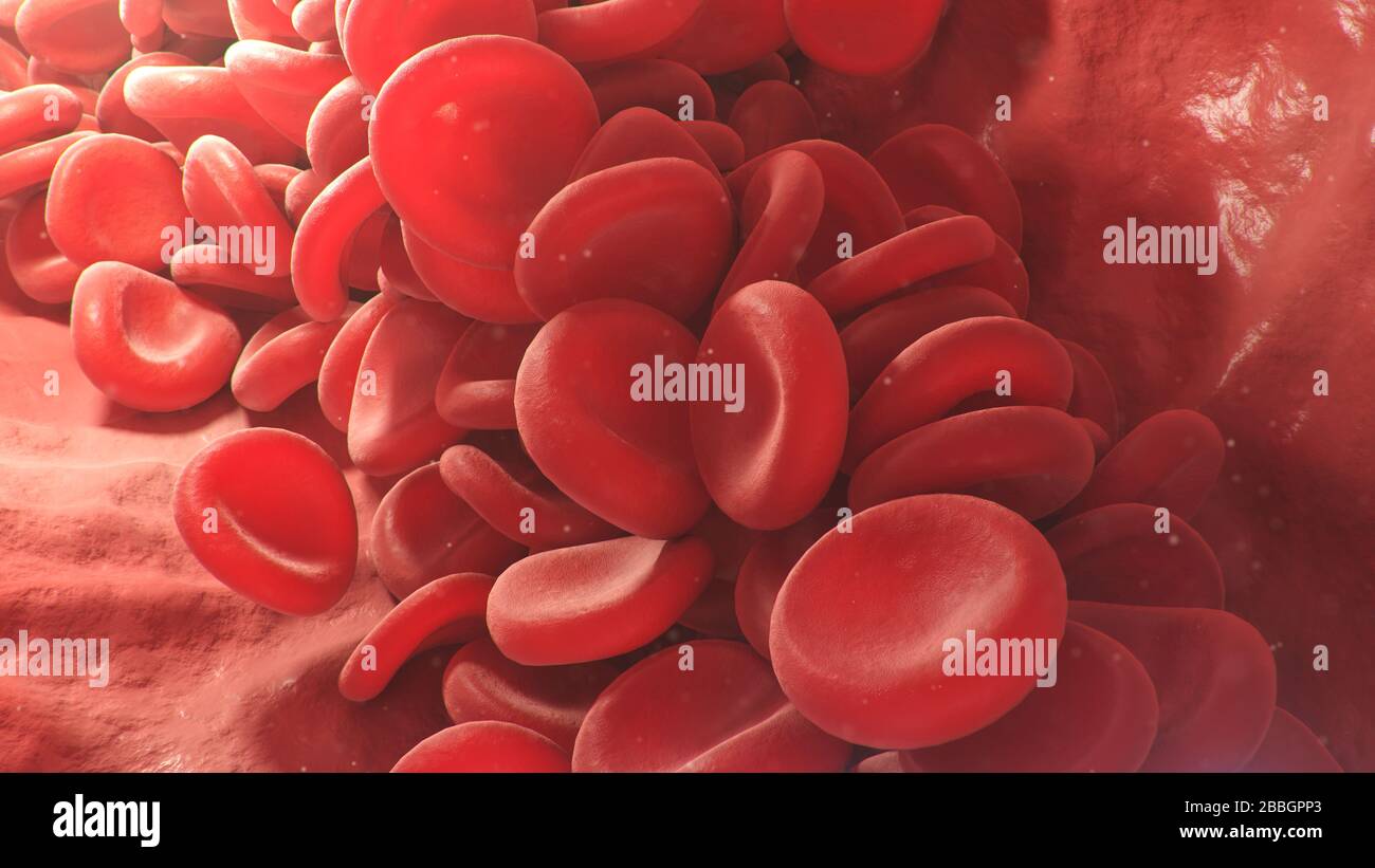 3d illustration of red blood cells inside an artery, vein. The flow of ...