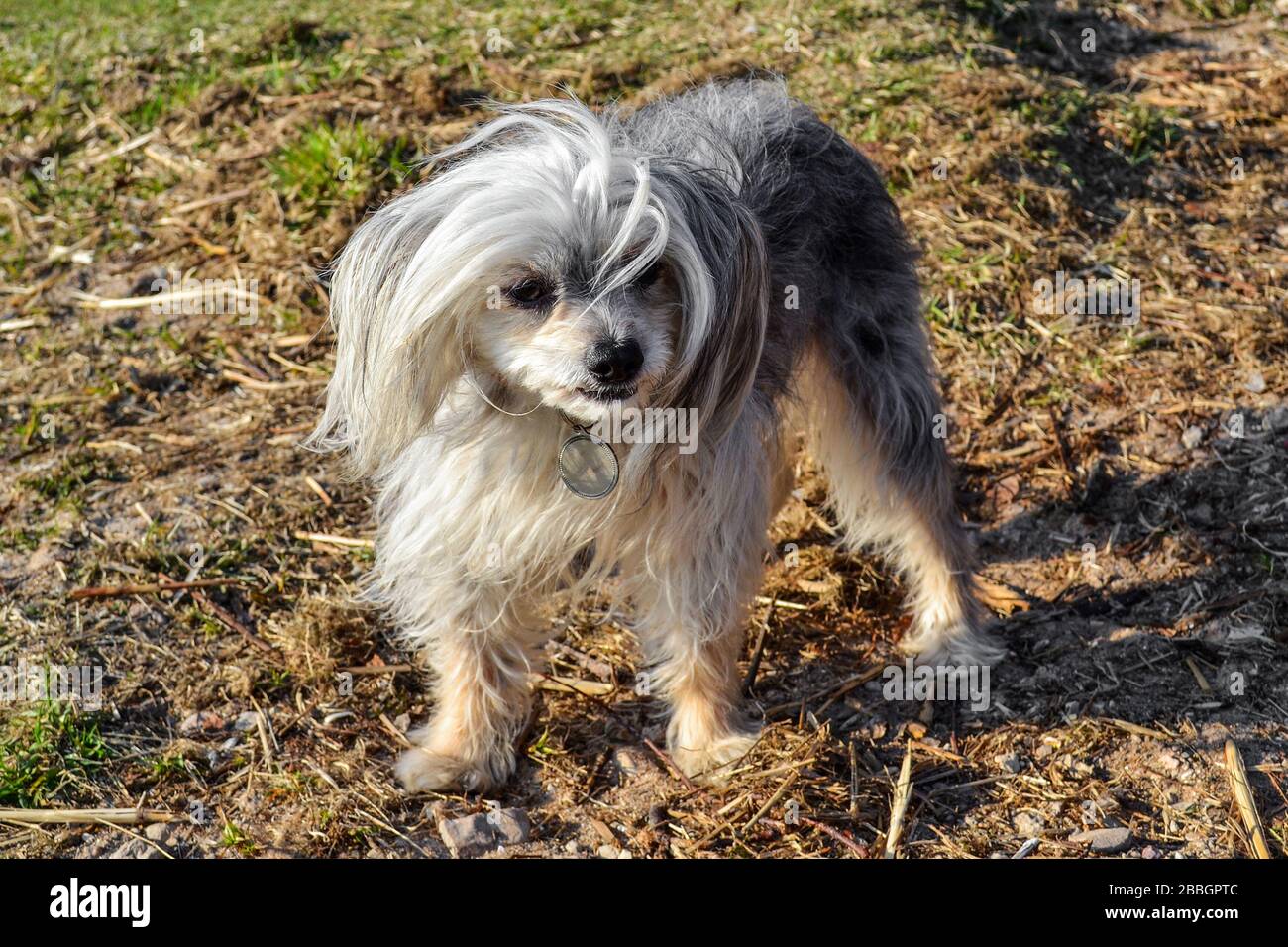 Windy weather hi-res stock photography and images - Alamy