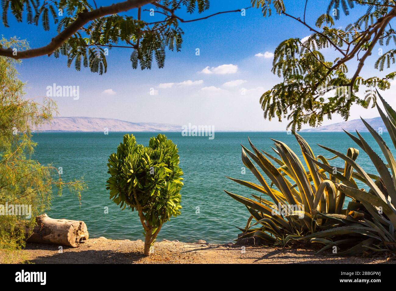 Views of the Sea of Galilee from the Biblical site of Capernaum ...