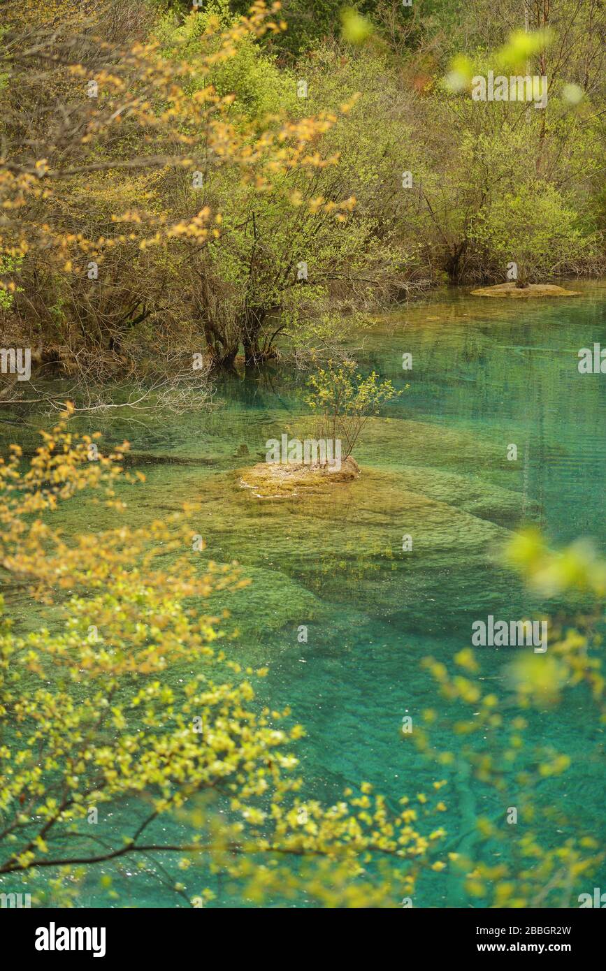 Beautiful nature with spectacular vegetation and crystal turquoise pond ...