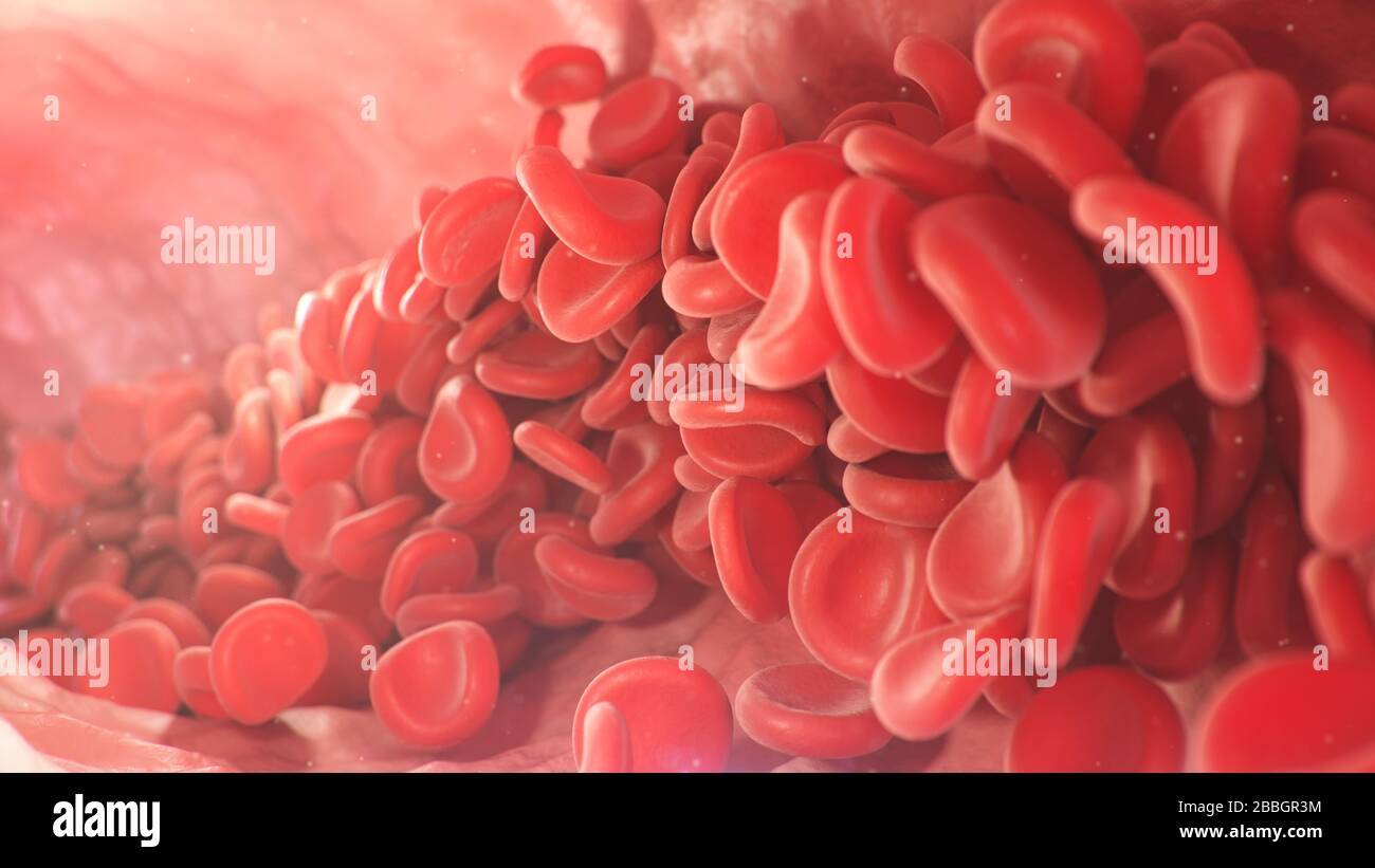 3d illustration of red blood cells inside an artery, vein. The flow of ...