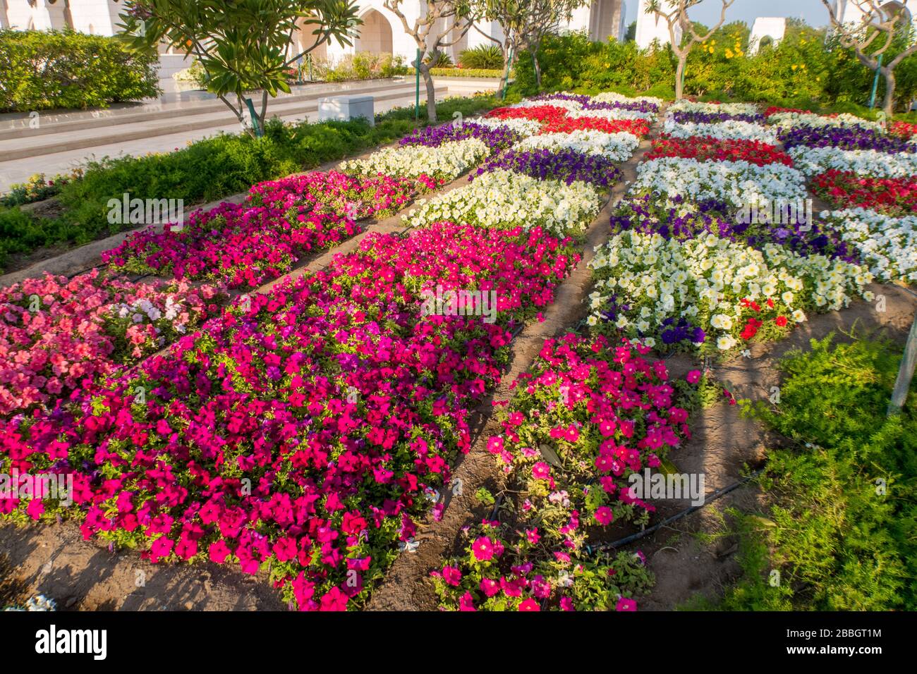 Royal Opera House Muscat Oman Stock Photo - Alamy