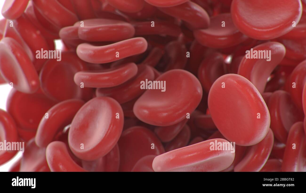 Abstract red blood cells clot. Scientific and medical concept. Transfer ...