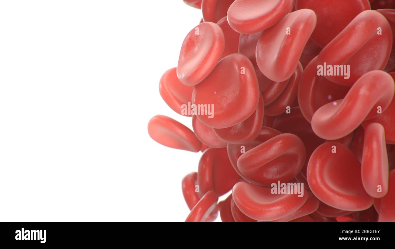 Abstract red blood cells clot isolated on white background. Scientific ...