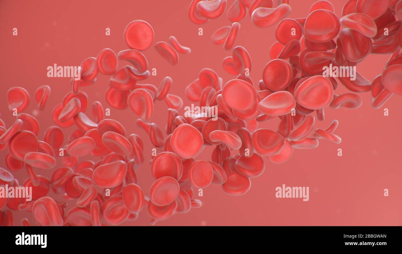 Red blood cells on a red background. Flow of blood in a living organism ...