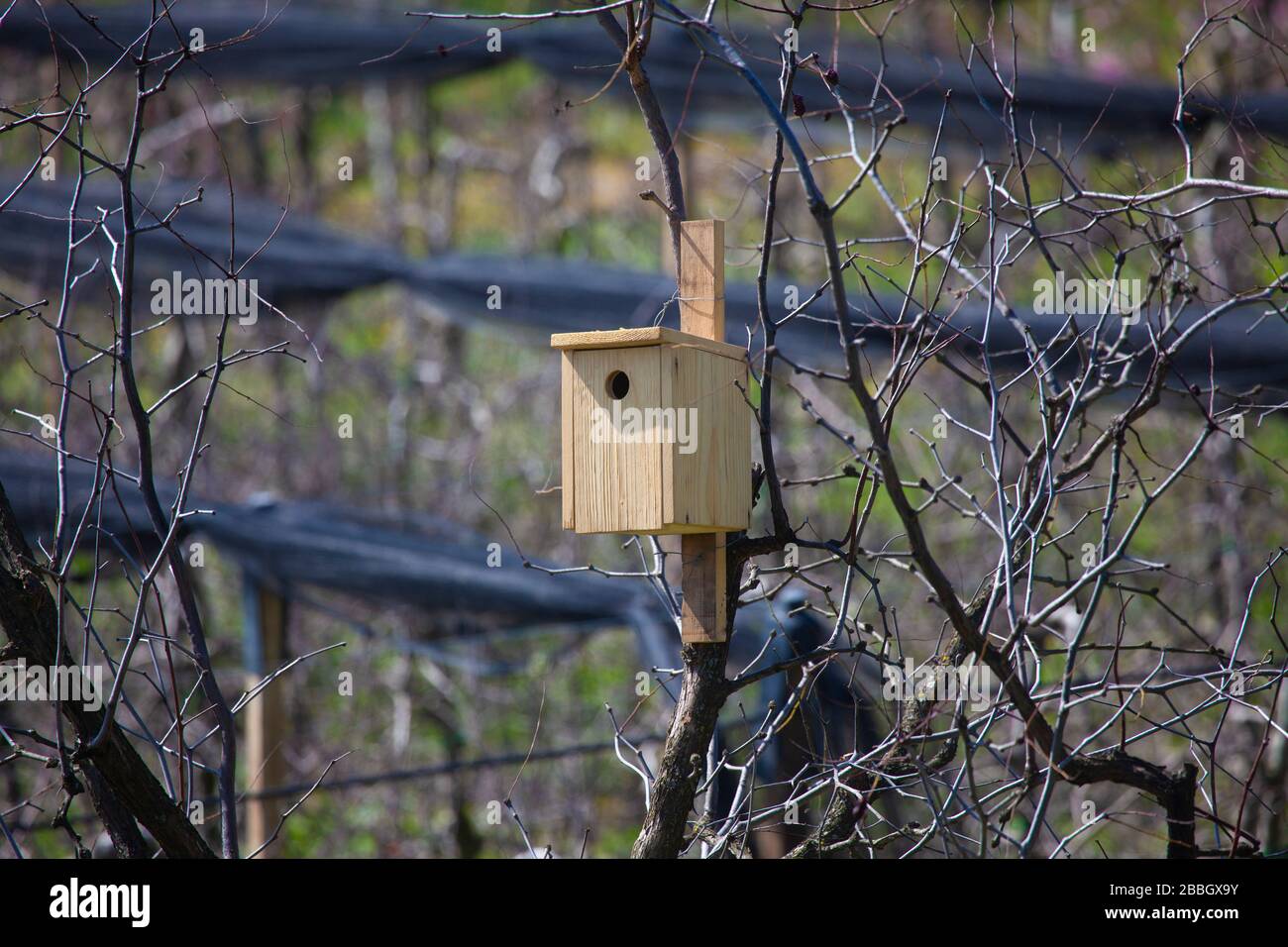photo of a new wooden bird house in the plantation of the agricultural ...