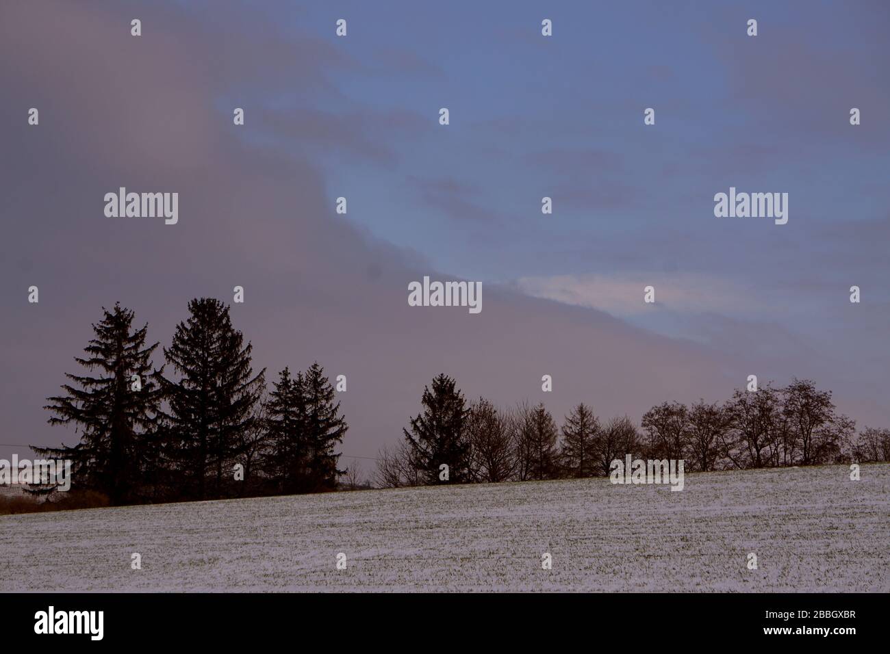 Tranquility tree hi-res stock photography and images - Alamy