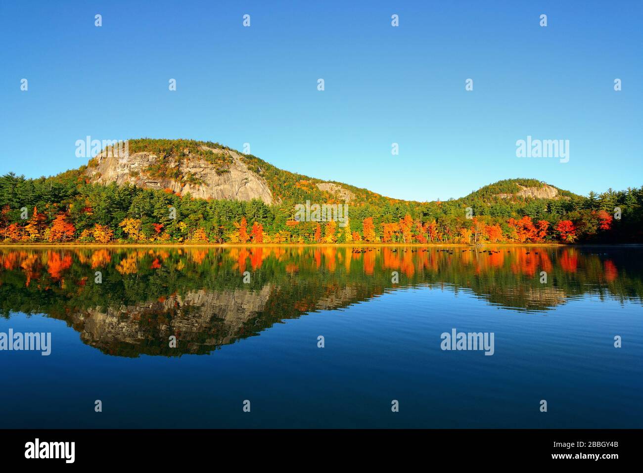 Autumn foliage with lake in New England area Stock Photo - Alamy