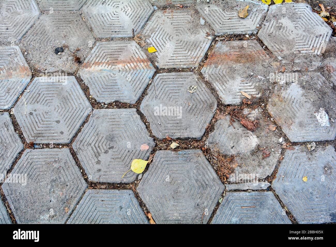 Hexagonal tile walkway hi-res stock photography and images - Alamy