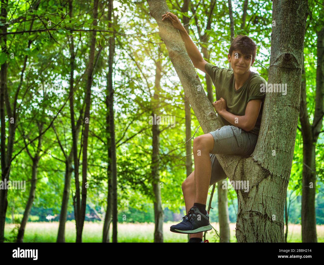 Teenager sitting on tree fork Stock Photo - Alamy