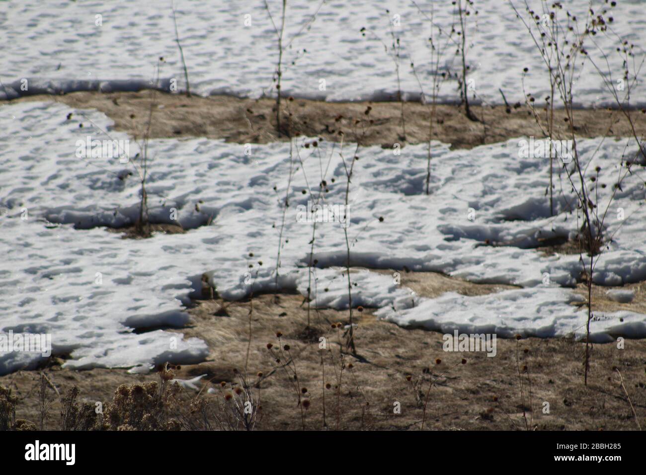 Spring Will Come Again Stock Photo - Alamy
