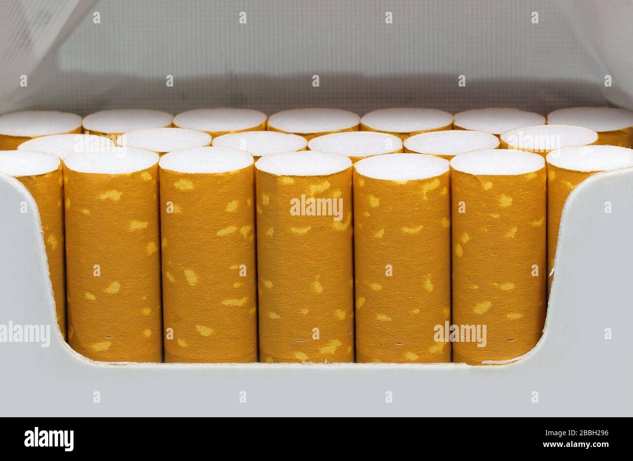 detail of the filters of many cigarettes inside a packet just opened by ...