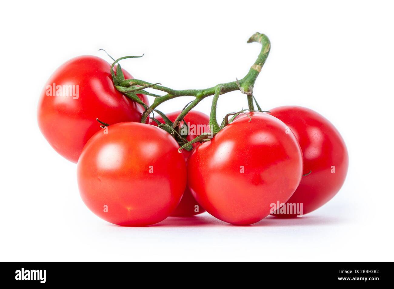 five tomatoes on a branch isolated on white background Stock Photo - Alamy