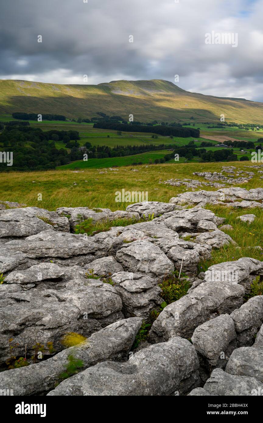 Whernside from the flanks of Ingleborough, Yorkshire Dales, England, UK ...