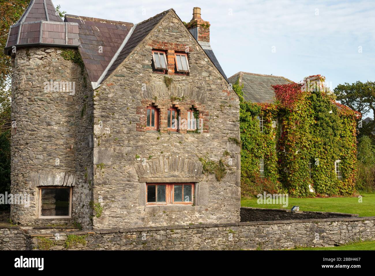 Invasive plant species hi-res stock photography and images - Alamy