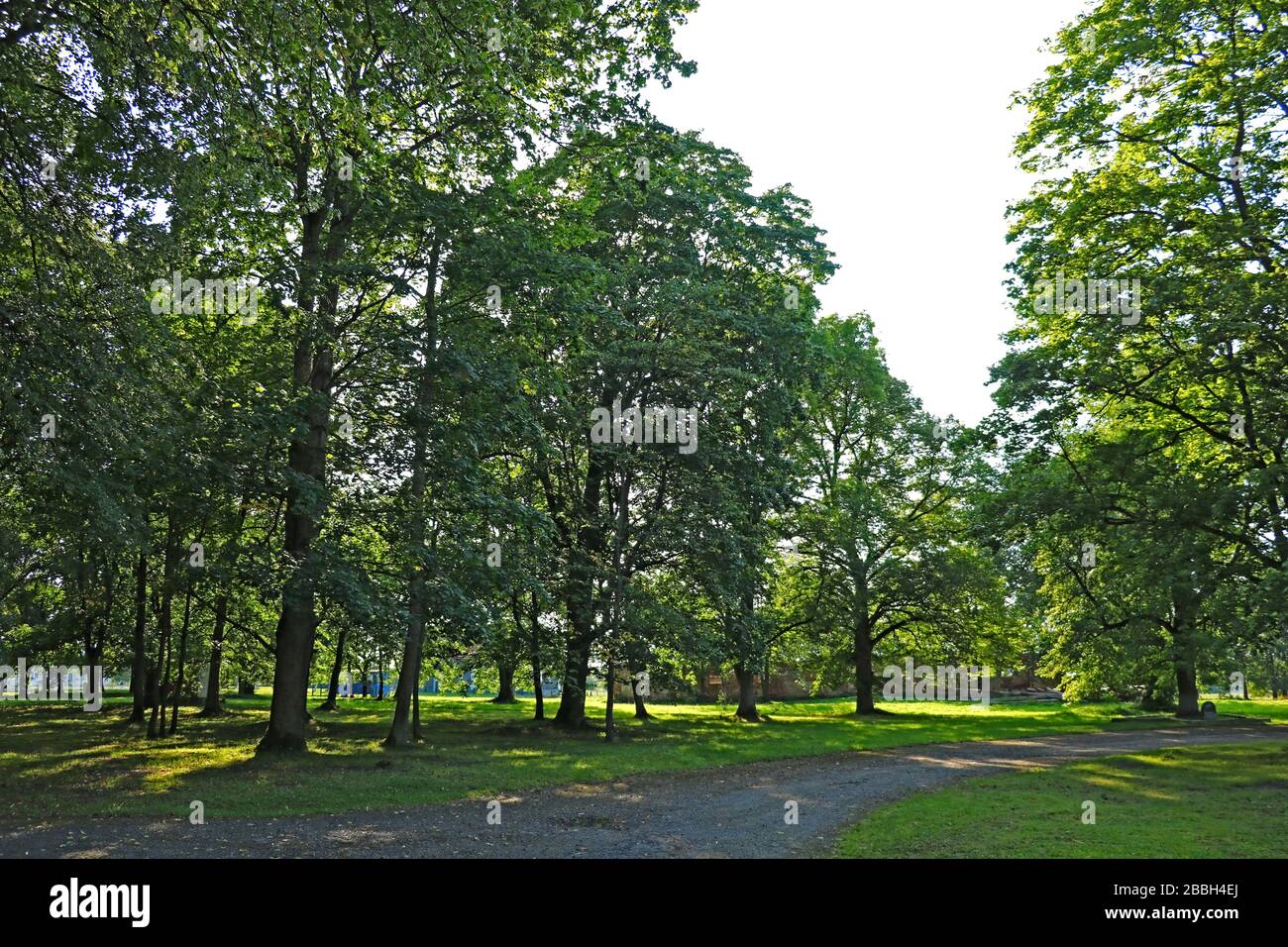 Small park grass land hi-res stock photography and images - Alamy