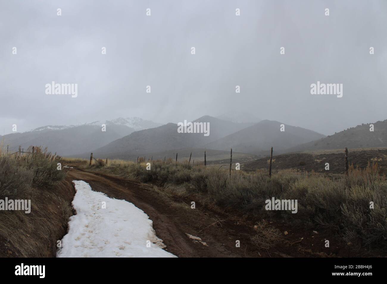 Rainy day aesthetics hi-res stock photography and images - Alamy