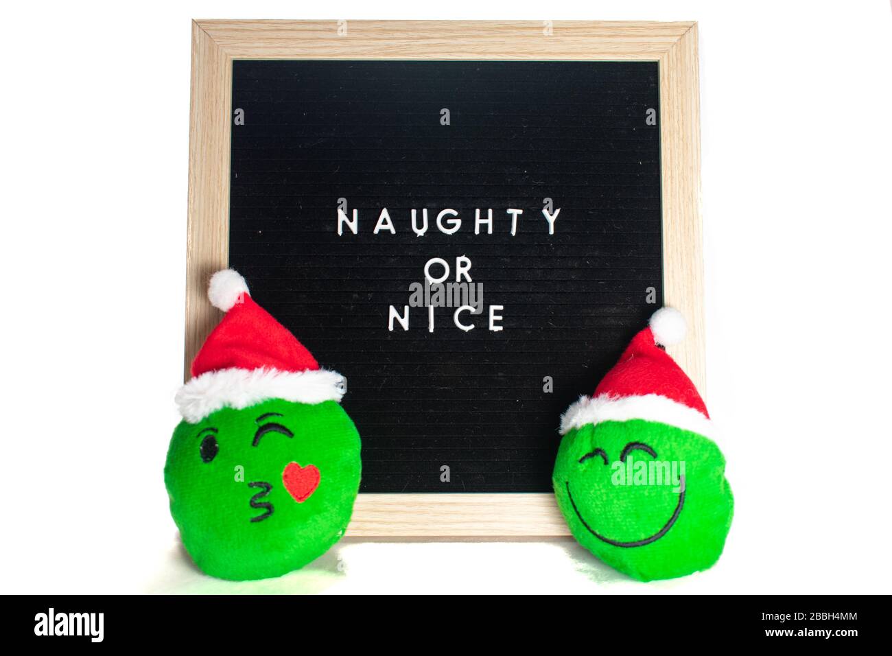 A Black and White Sign With a Birch Frame That Says Naughty or Nice ...