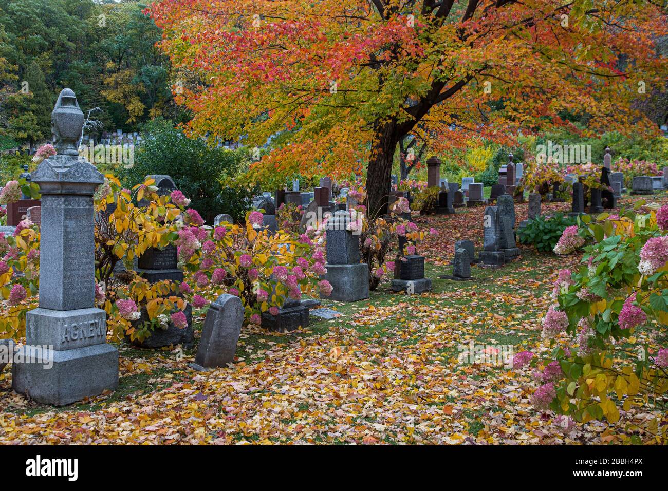 Canada montreal mount royal cemetery hi-res stock photography and ...