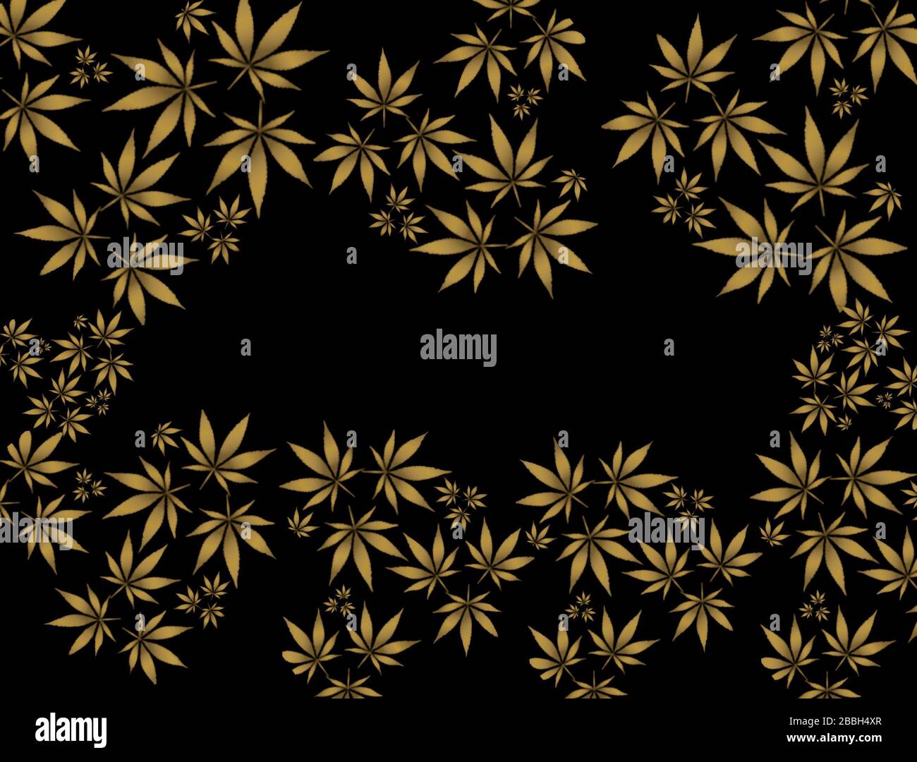Abstract background with medicinal cannabis leaves isolated in black ...