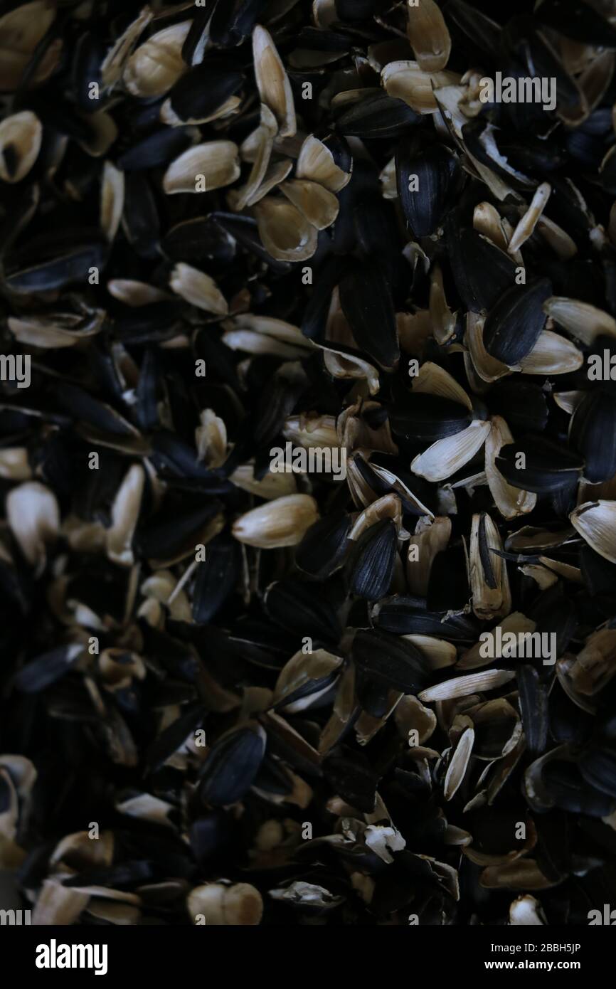 Texture sunflower seeds hi-res stock photography and images - Alamy
