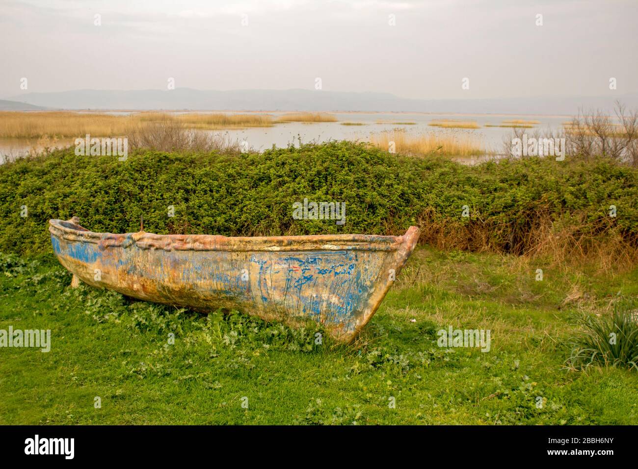 Old ruined boat and lake Stock Photo - Alamy
