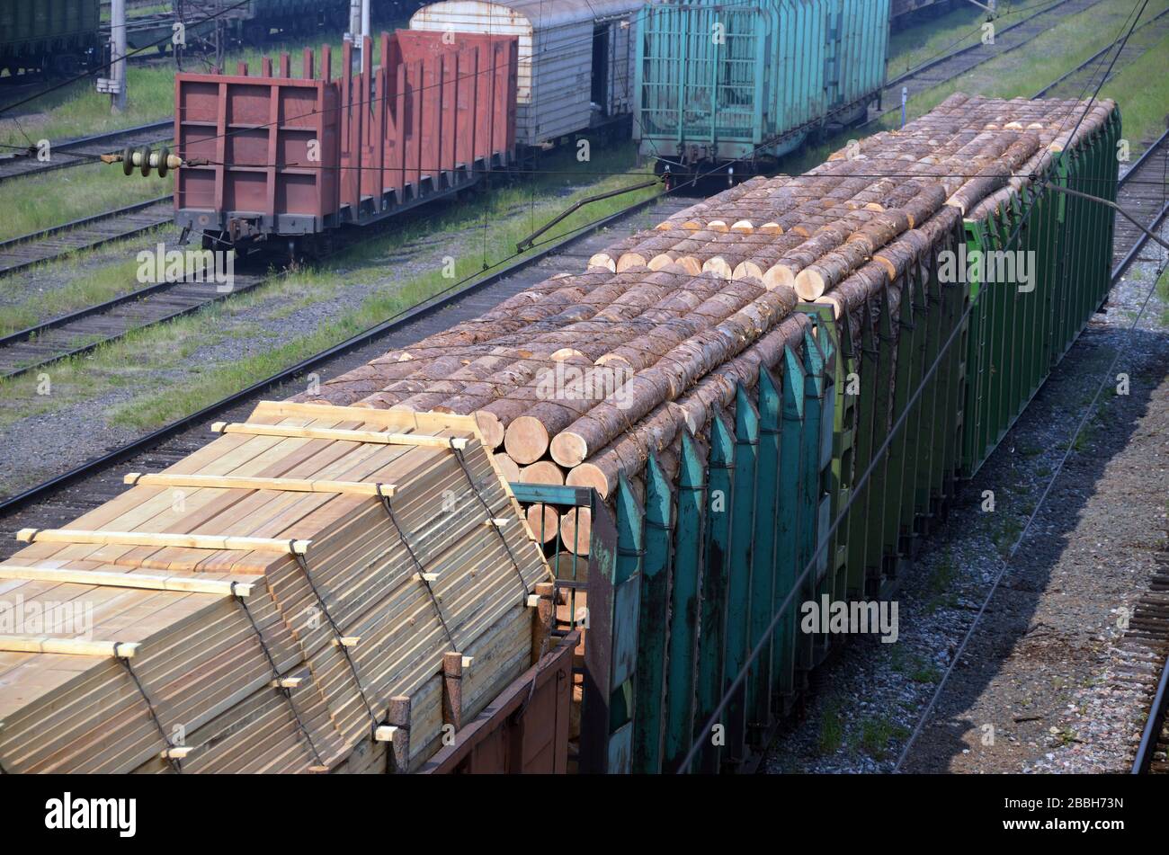 Freight trains on the BAM railway line in the railway sation of ...