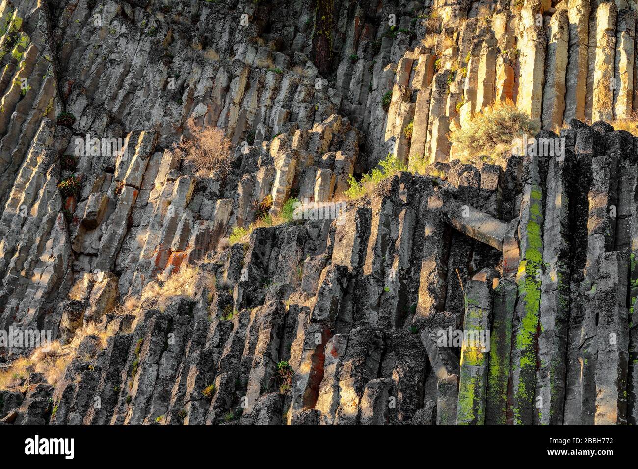 Basalt columns at Keremeos Columns provincial park in Keremeos, British ...