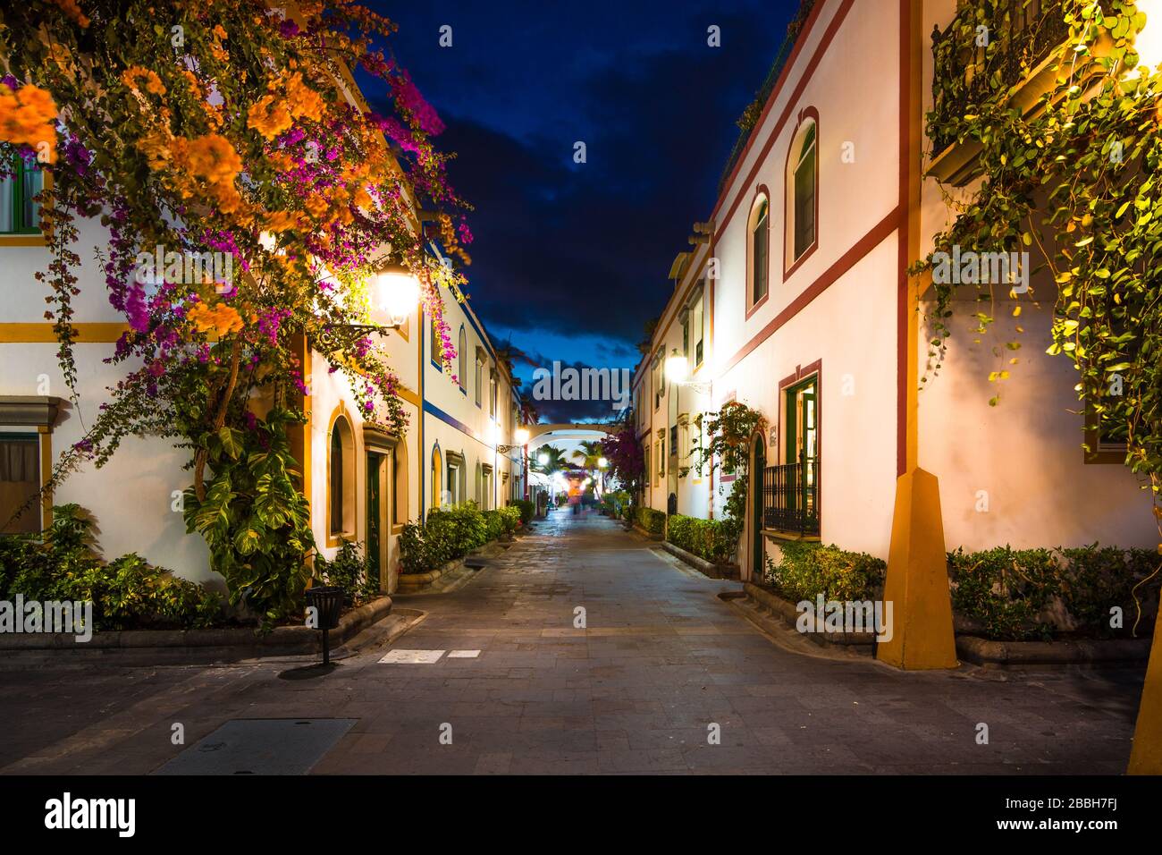 Alley flowers hi-res stock photography and images - Alamy