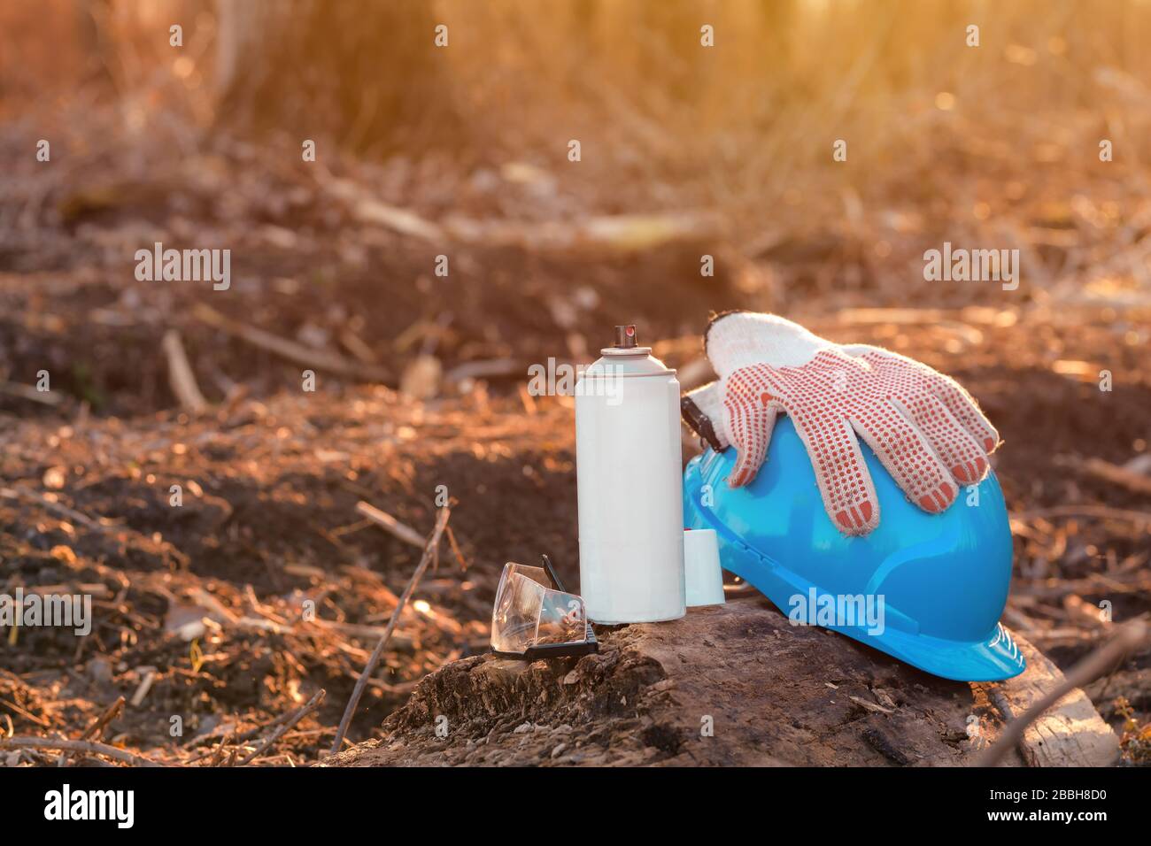 Forestry technician equipment for tree labeling, aerosol can spray ...