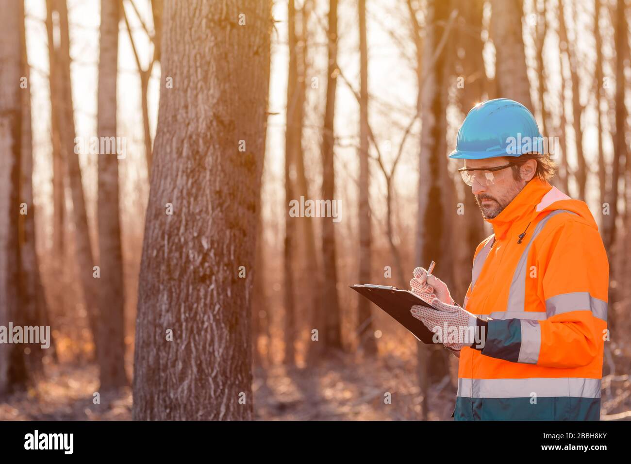 Forestry technician writing notes on clipboard notepad paper in forest ...