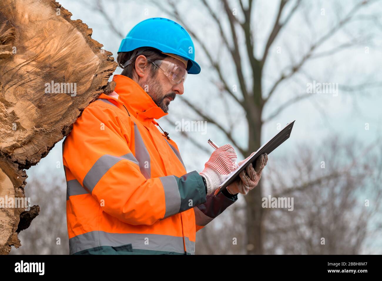Forestry technician writing notes on clipboard notepad paper in forest ...