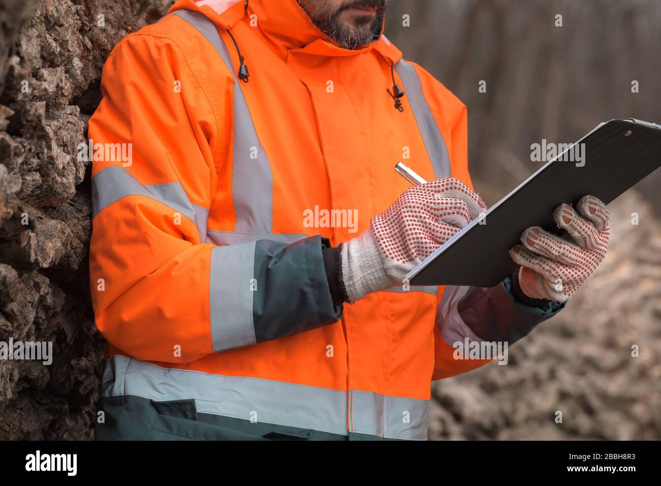 Forestry technician writing notes on clipboard notepad paper in forest ...