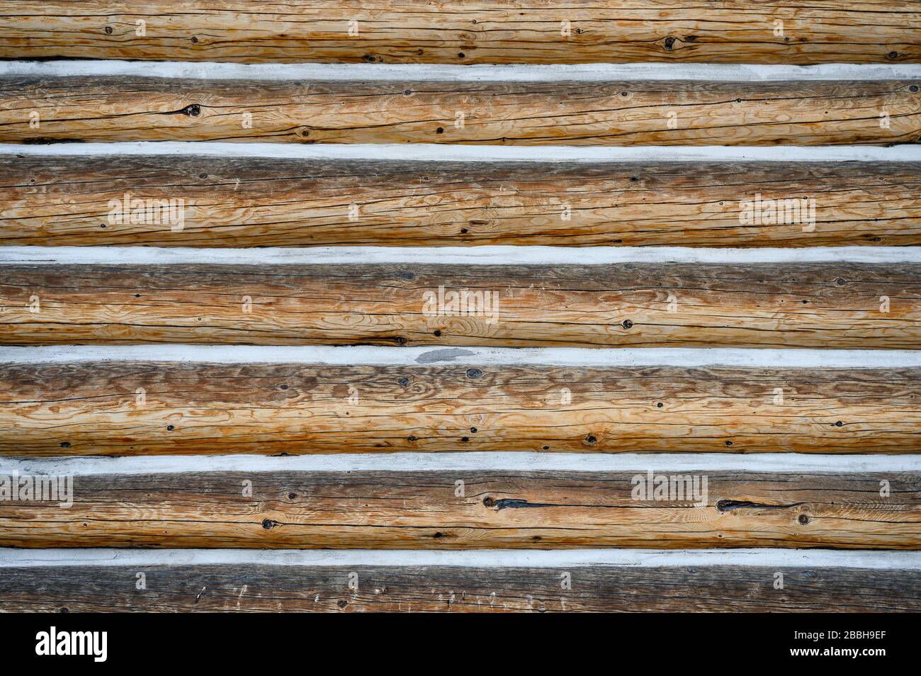 Pile hardwood log with snow in groove. pattern background Stock Photo ...