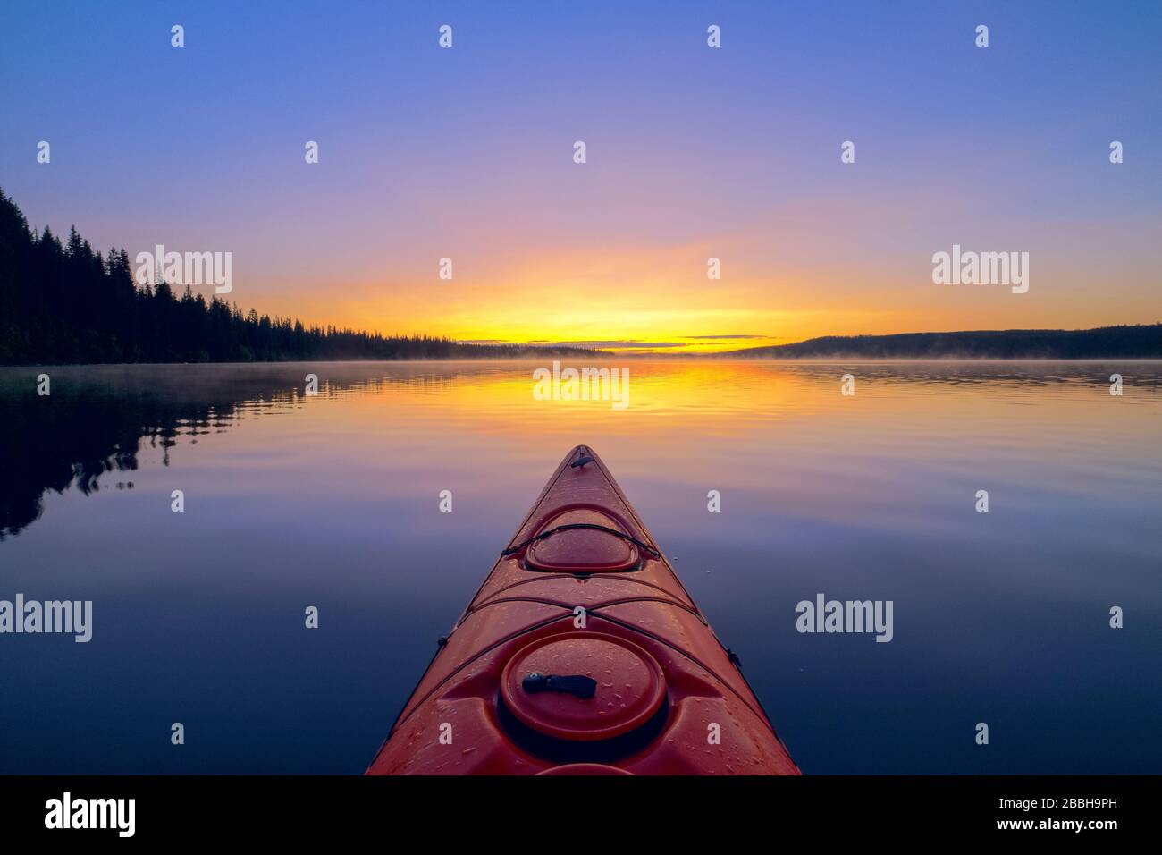 Kayaker with red kayak on Beaver Lake at sunrise, Lake Country, British ...