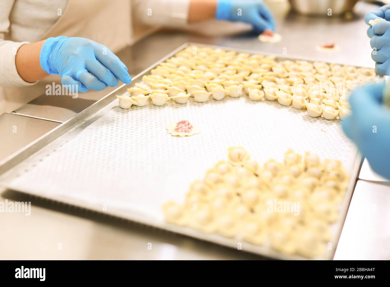 Dumplings manufacturing process. Hands of employers in blue rubber ...