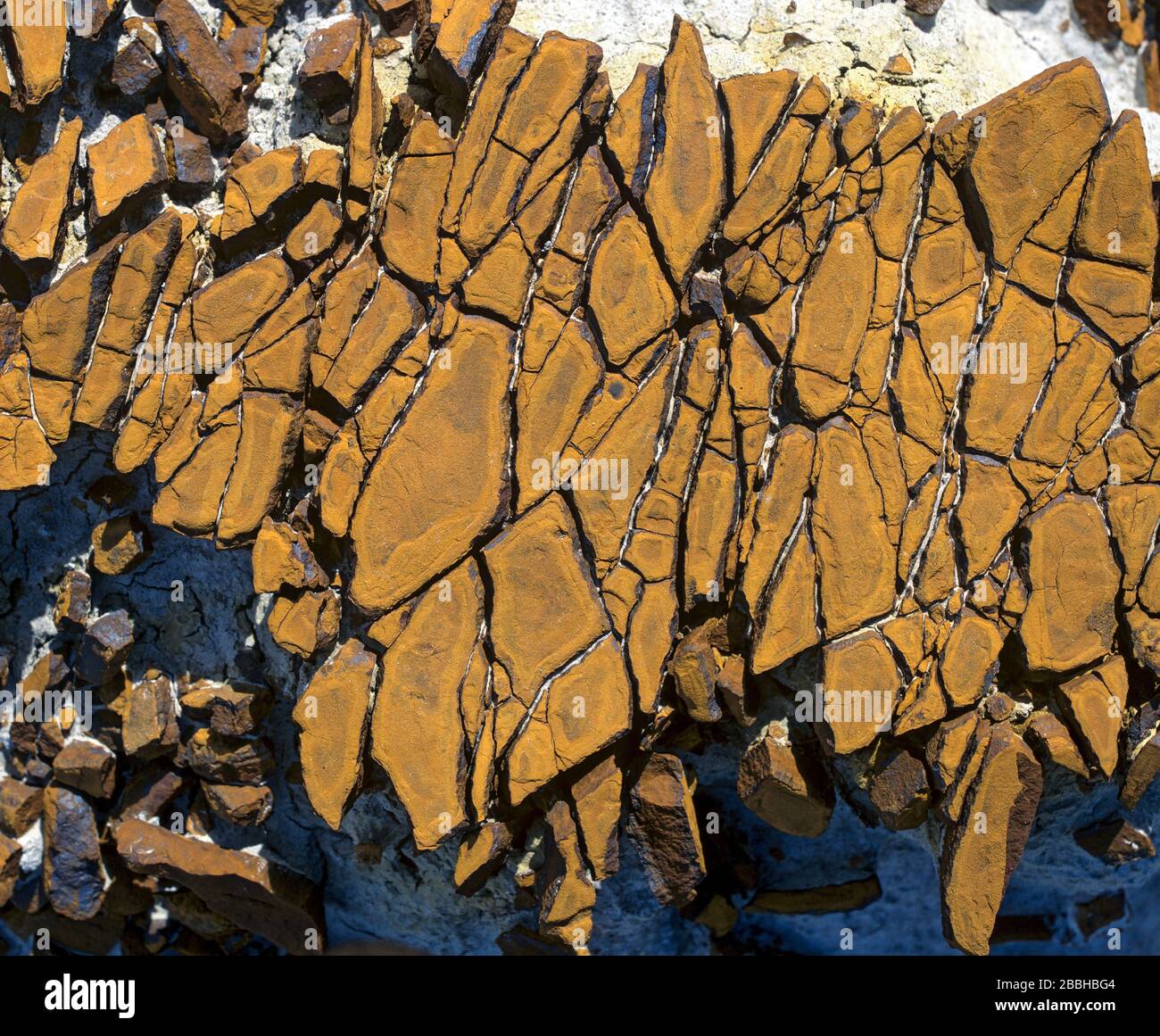 Cracked stone texture in the badlands in North Dakota, USA Stock Photo ...