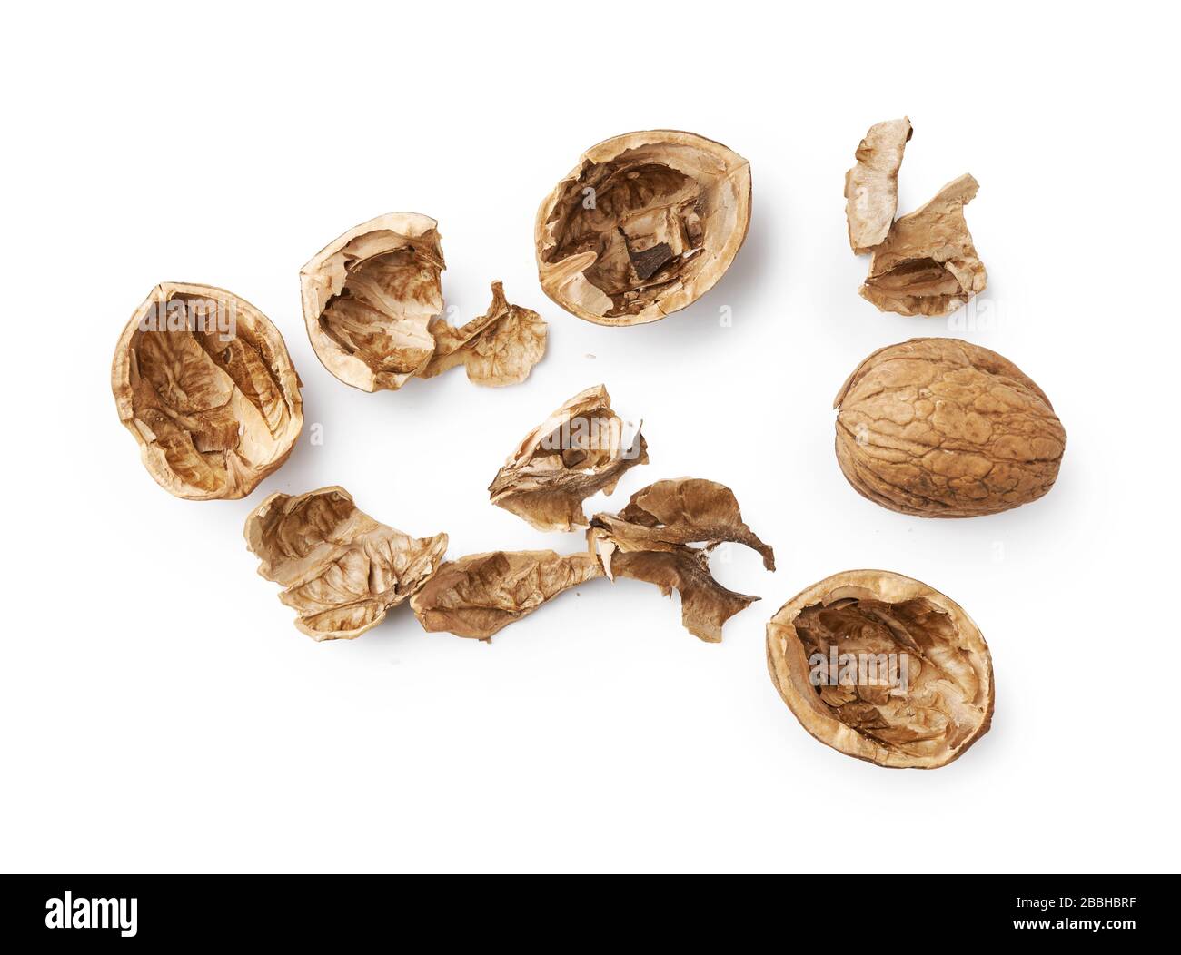 Walnut shells isolated on white background. Top view of nuts shell ...
