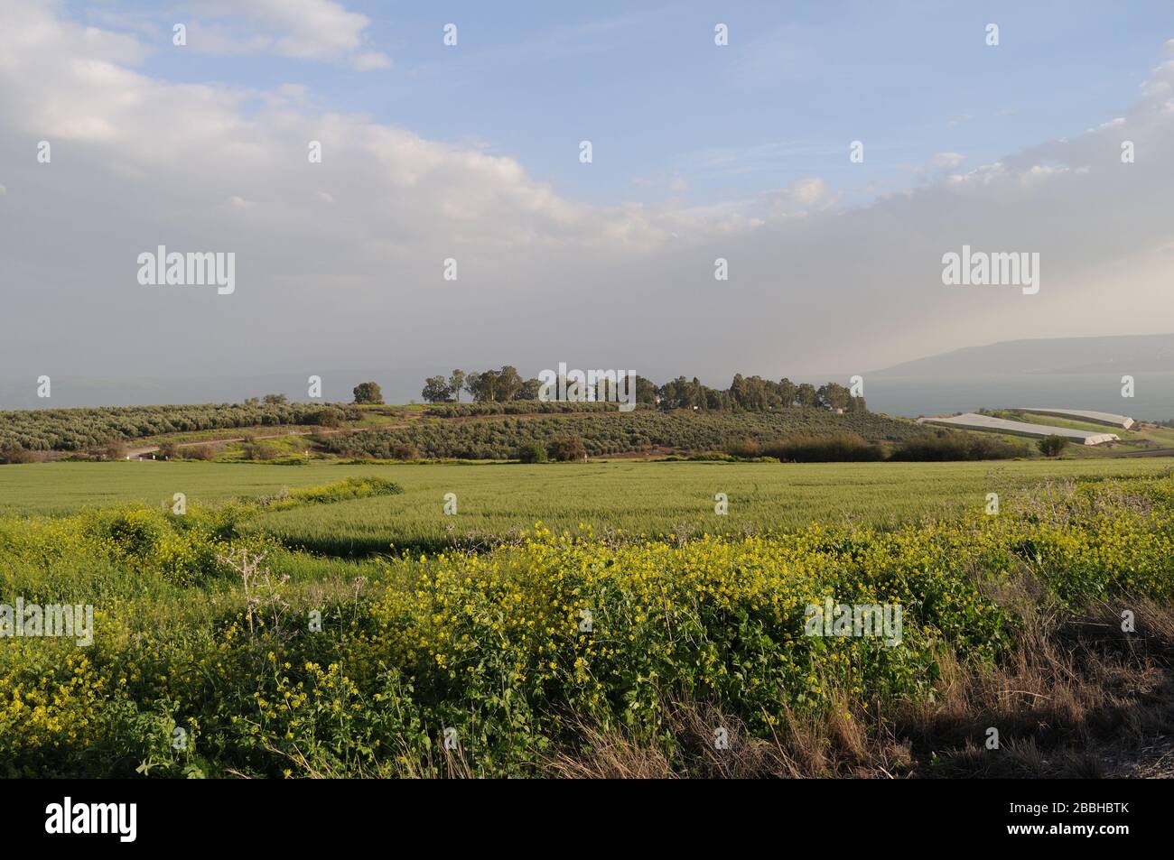 Beautiful views over the hill Stock Photo - Alamy