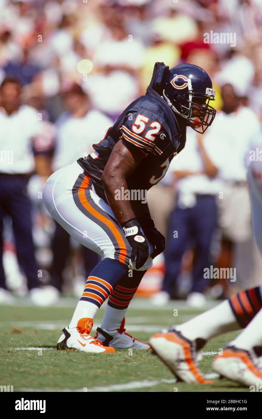 Bryan Cox of the Chicago Bears Stock Photo - Alamy