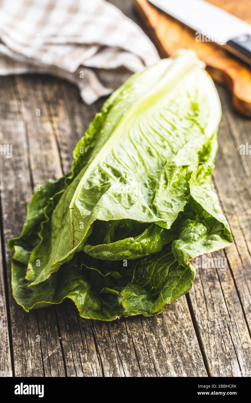 Romain lettuce leaves hi-res stock photography and images - Alamy
