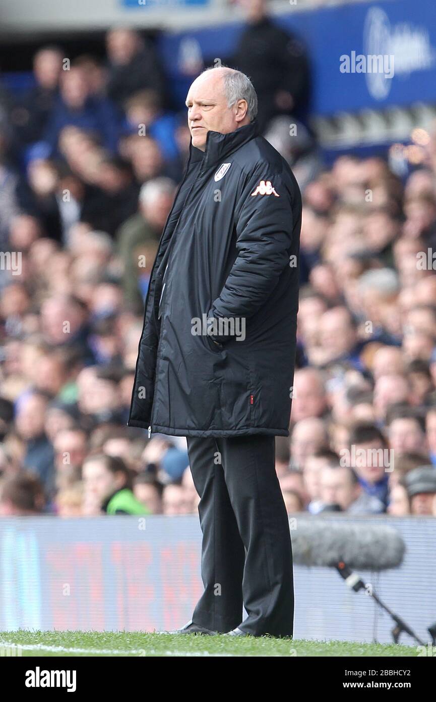 Fulham's manager Martin Jol on the touchline Stock Photo - Alamy