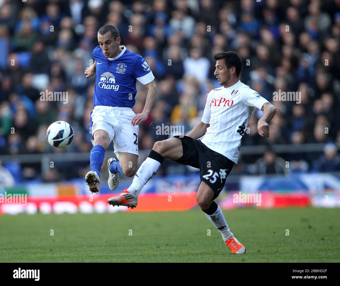 Everton's Leon Osman (left) and Fulham's Stanislav Manolev (right ...